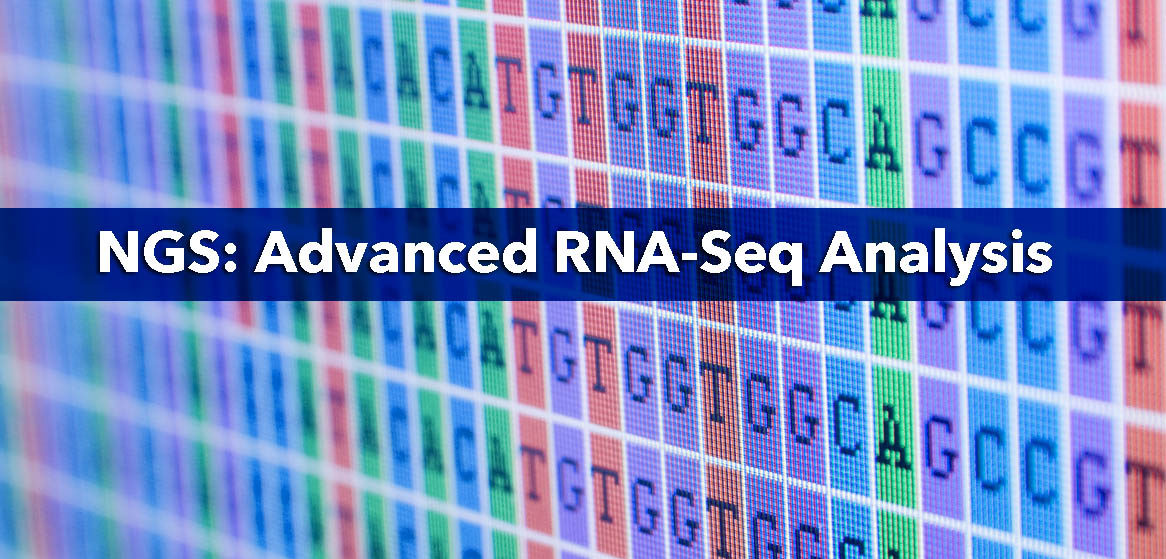 Single Cell Rna Sequencing Ngs Analysis