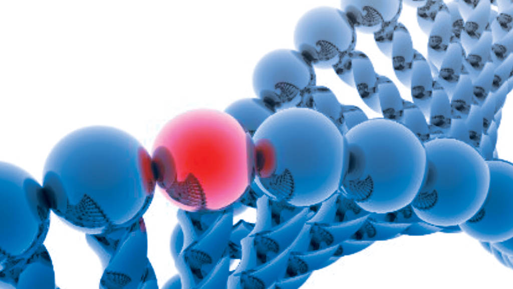 CRISPR/Cas9 Workshop: Technology Foundations, Applications principles