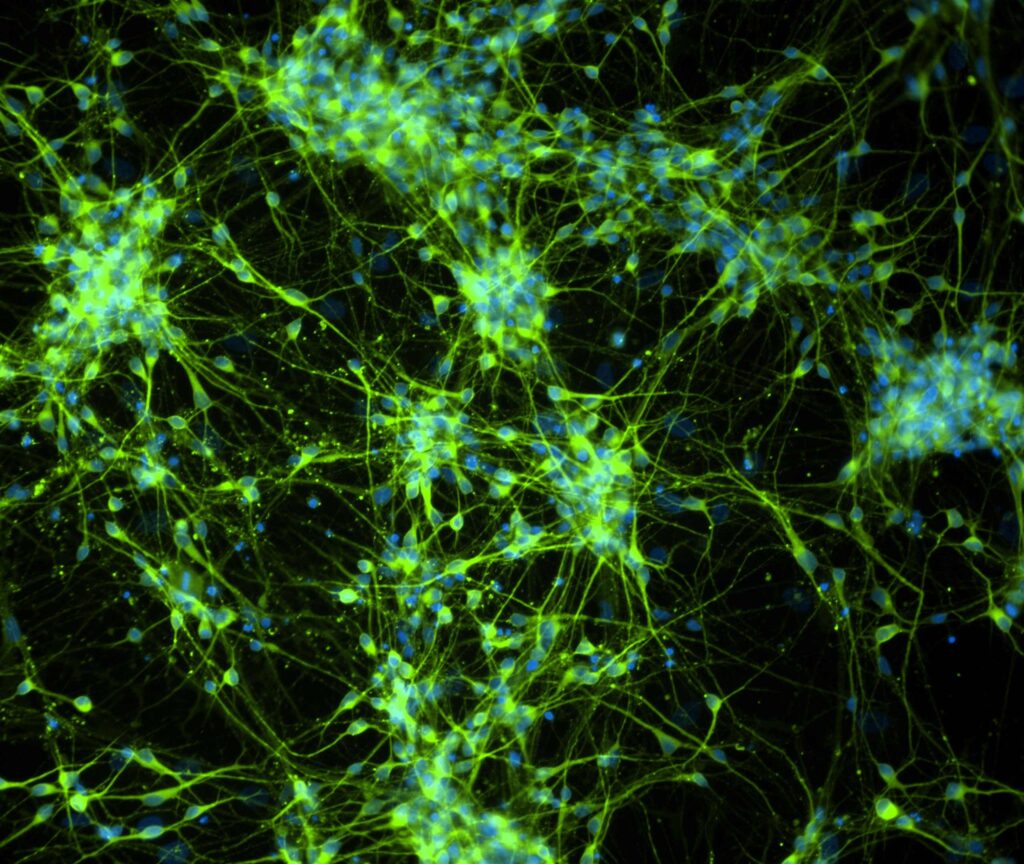 Best Practices in Mammalian Cell Culture - Bio-Trac®